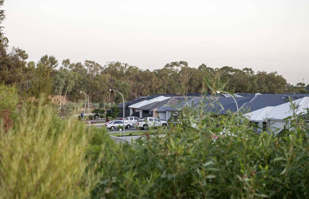 Some modifications for Viveash proposal - Echo Newspaper