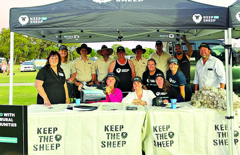 Keep the Sheep - Echo Newspaper