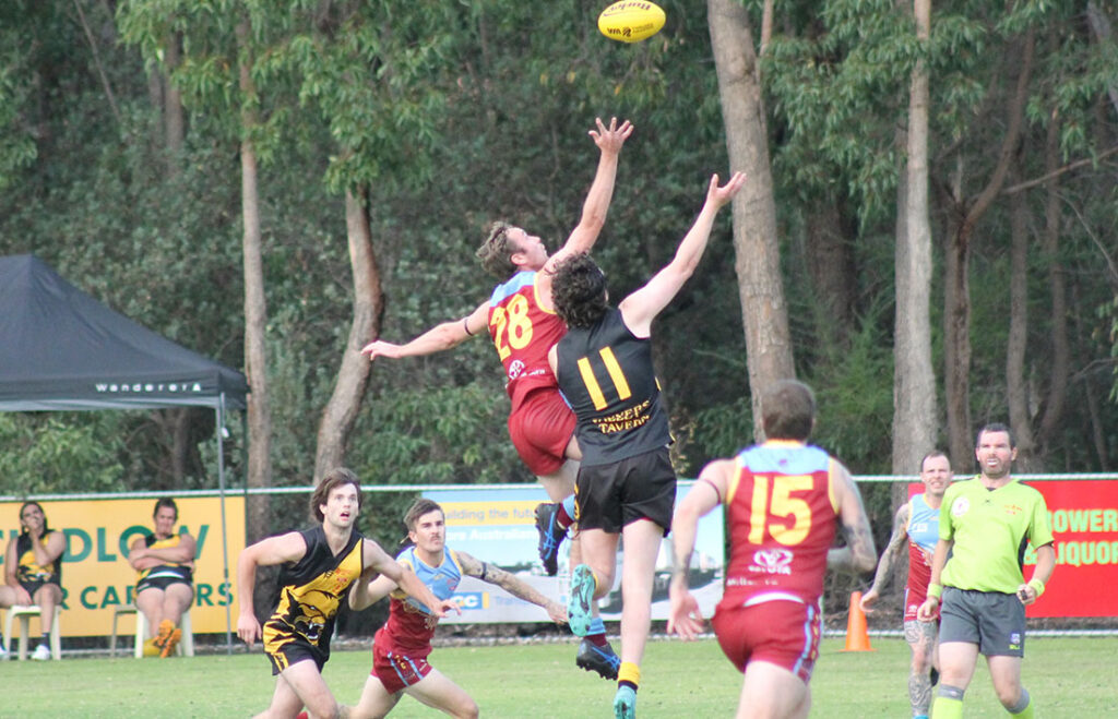 Chidlow topple Swan View - Echo Newspaper