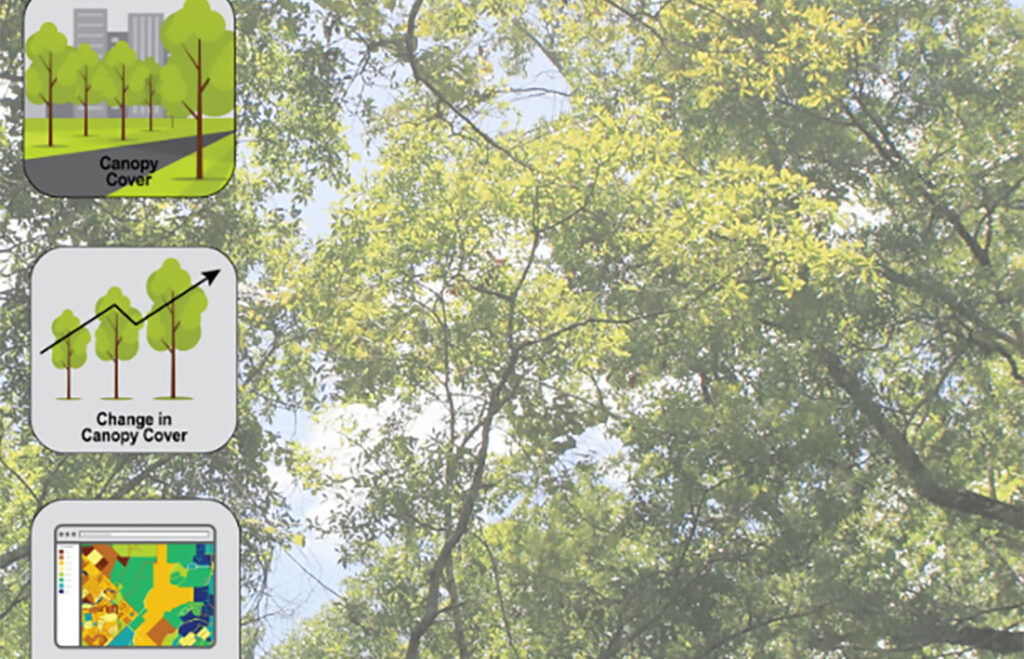 Perth tree canopy data released - Echo Newspaper