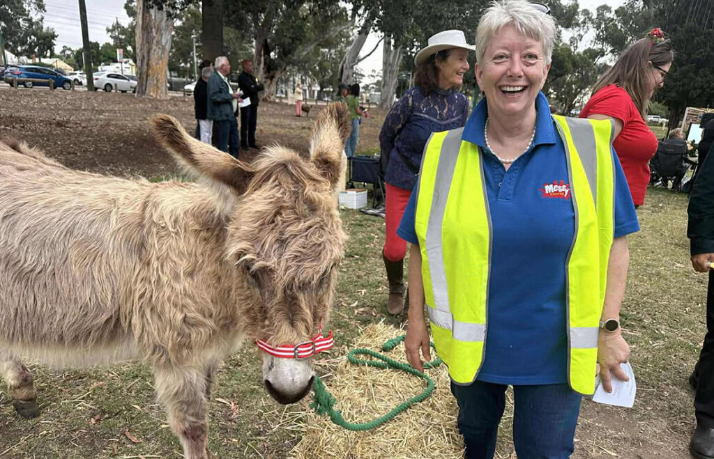 Guildford community Christmas tree 10th anniversary - Echo Newspaper