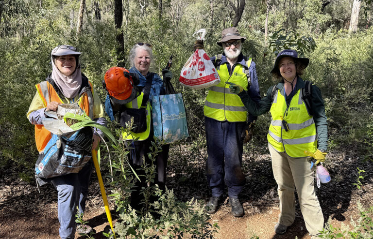 New toxic plant infestation found in John Forrest National Park - Echo ...