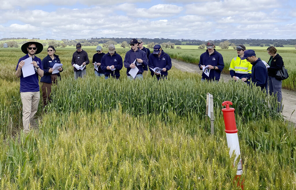 Research focus at DPIRD Dale Frost Field Day - Echo Newspaper