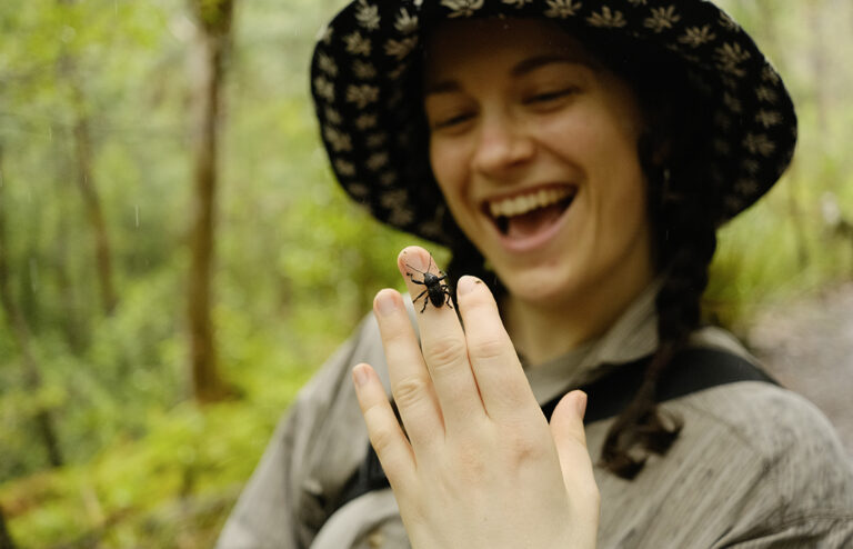 Invasive species driving decline in global insects - Echo Newspaper