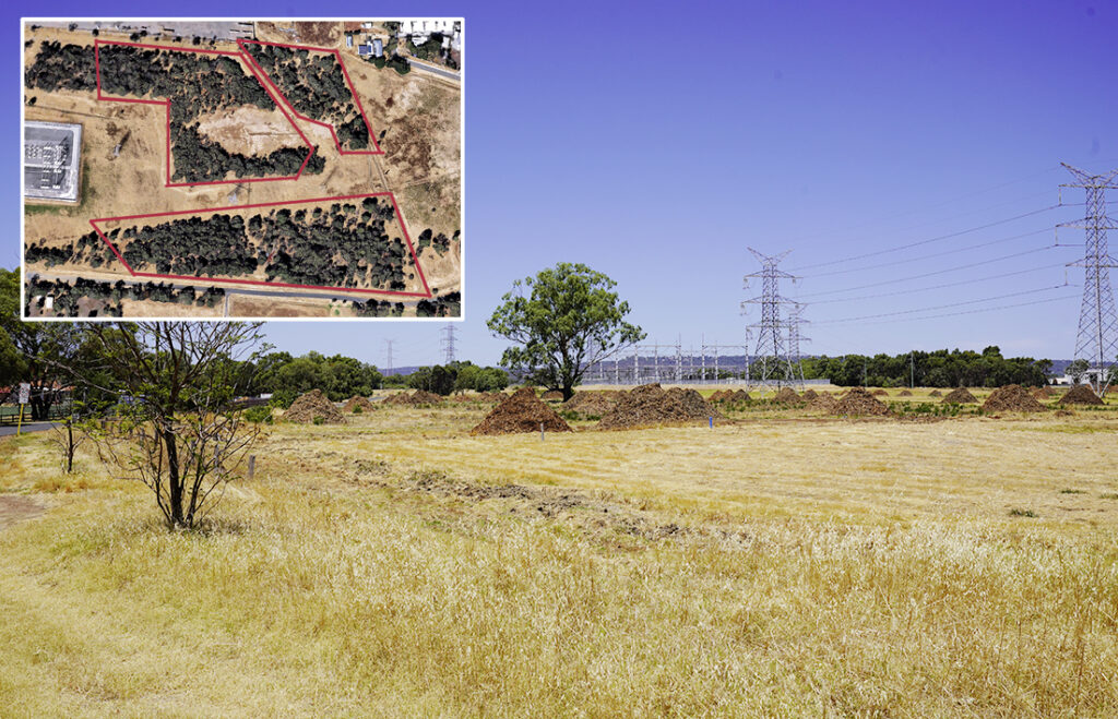 Hazelmere lot applications approved by DAP - Echo Newspaper